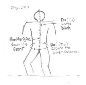 Animal Forms In Tai Chi | Eastern Counties Tai Chi Academy